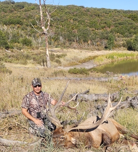 Colorado Trophy Elk Hunts | High Fence Hunting Ranch | Guaranteed Elk Hunts
